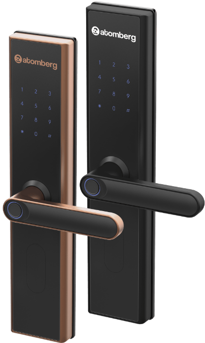 Buy Smart Lock Online With Fingerprint, Pin, Or Card For Home